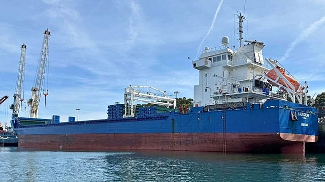 Dutch-Norwegian collaboration to develop hydrogen-powered dry bulk vessels