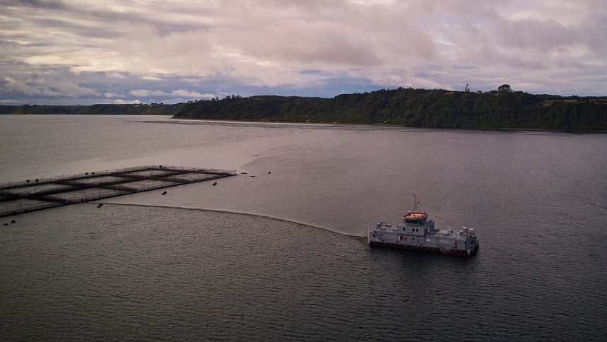New fish farm powered by renewable energy opens in Chile