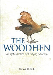 The Woodhen: A Flightless Island Bird Defying Extinction