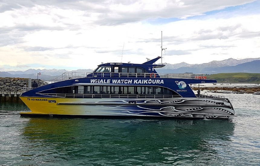 VESSEL REVIEW | Te Ao Marama – Whale Watch Kaikoura’s newest catamaran ...