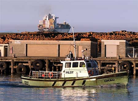 NZ pilot boat rescues crewman