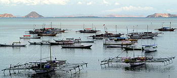 Indonesia to be “world’s leading fish producer”