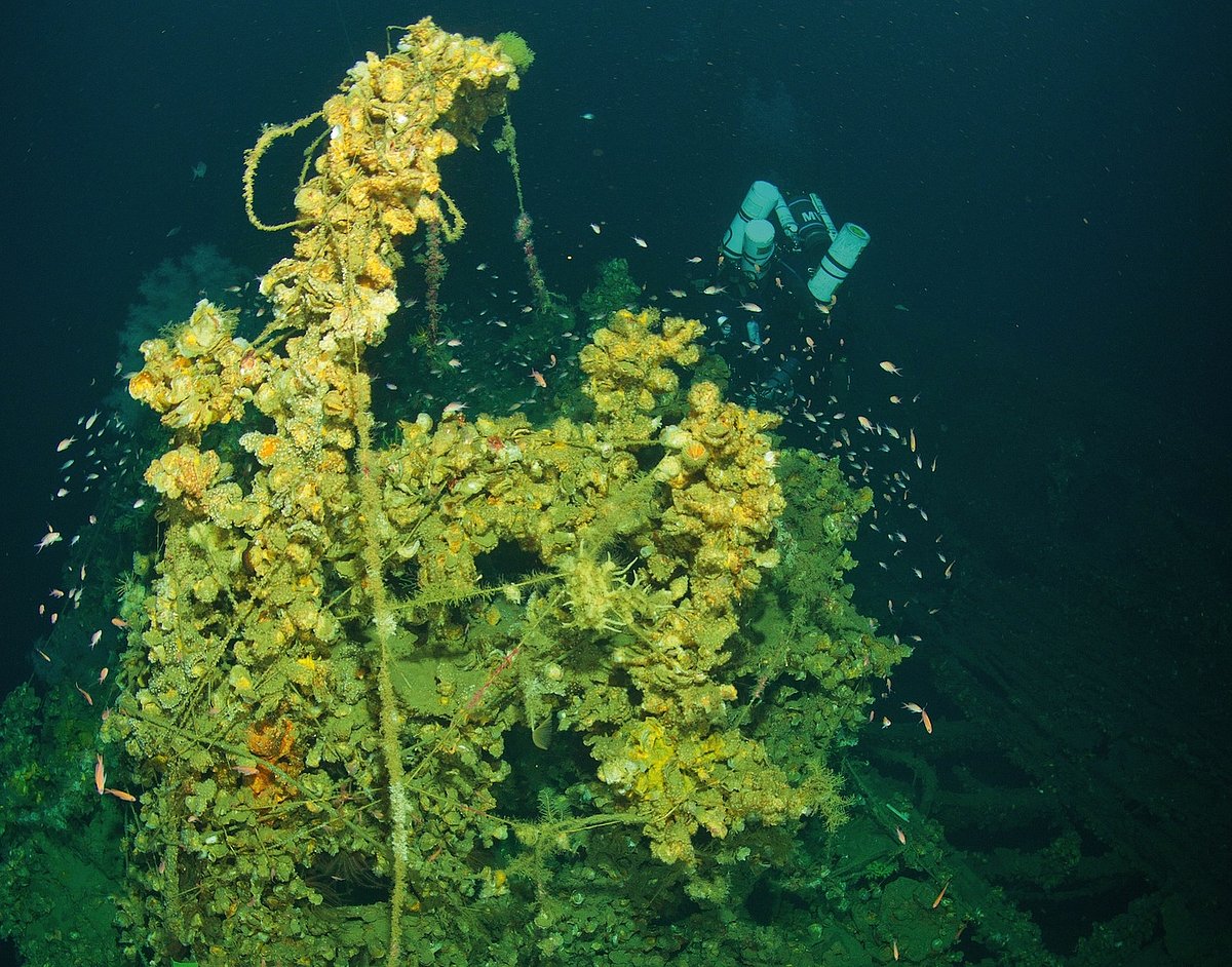 Diving the SS Natal – Collision in the Night [BOOK EXTRACT]