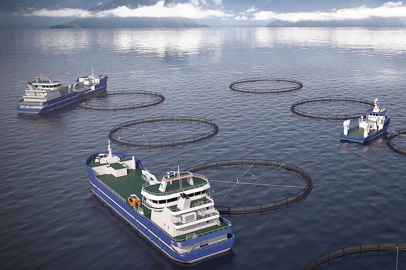 Live carrier pair launched simultaneously at Sefine Shipyard