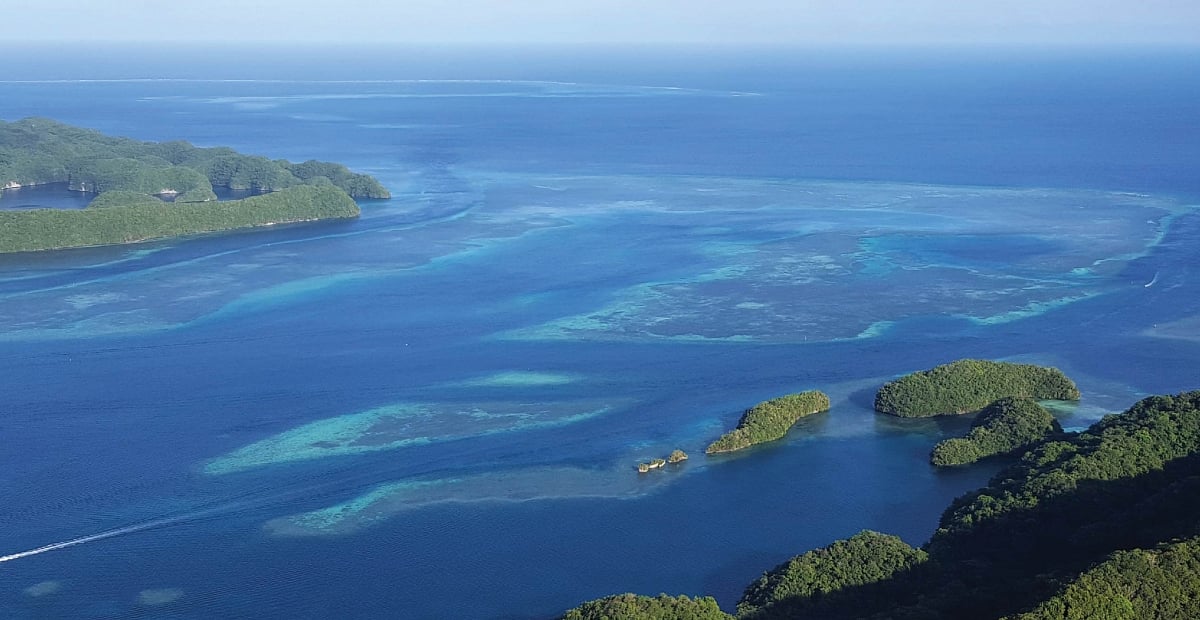 Scripps Institution to help forecast fishing activity in Palau’s waters