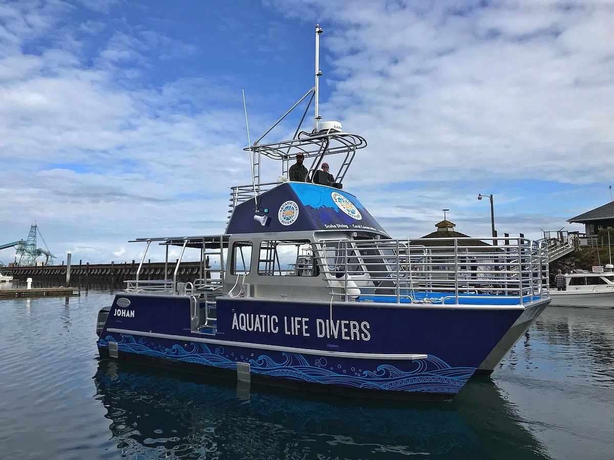 VESSEL REVIEW | Amelia and Johan – Purpose built cats boost Hawaii’s ...