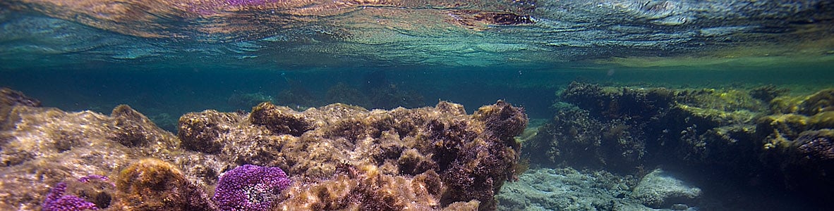 EDITORIAL: Neglected Indian Ocean gets some overdue attention