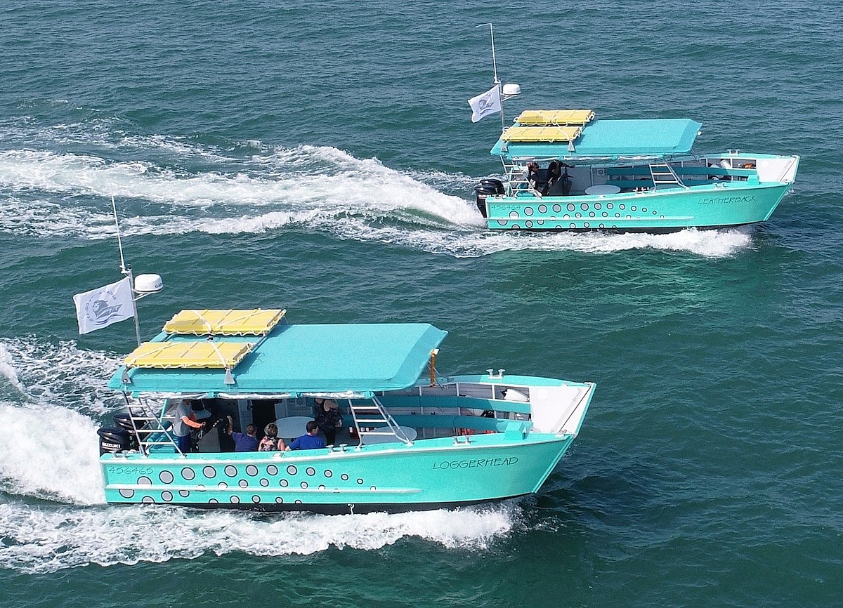 VESSEL REVIEW | Loggerhead & Leatherback – Great Barrier Reef tourist ...