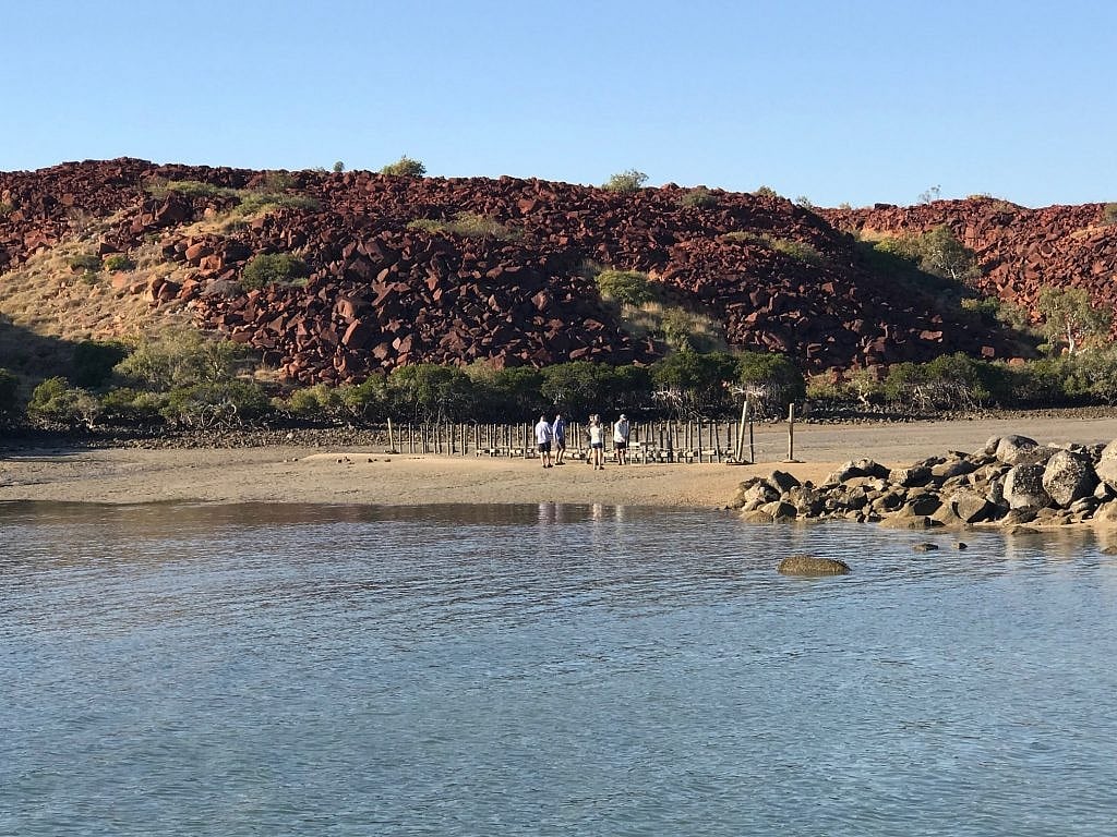 Oyster pilot program underway in the Pilbara