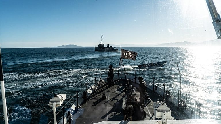 Sea Shepherd Founder Paul Watson Held in Greenland Amid Extradition to ...