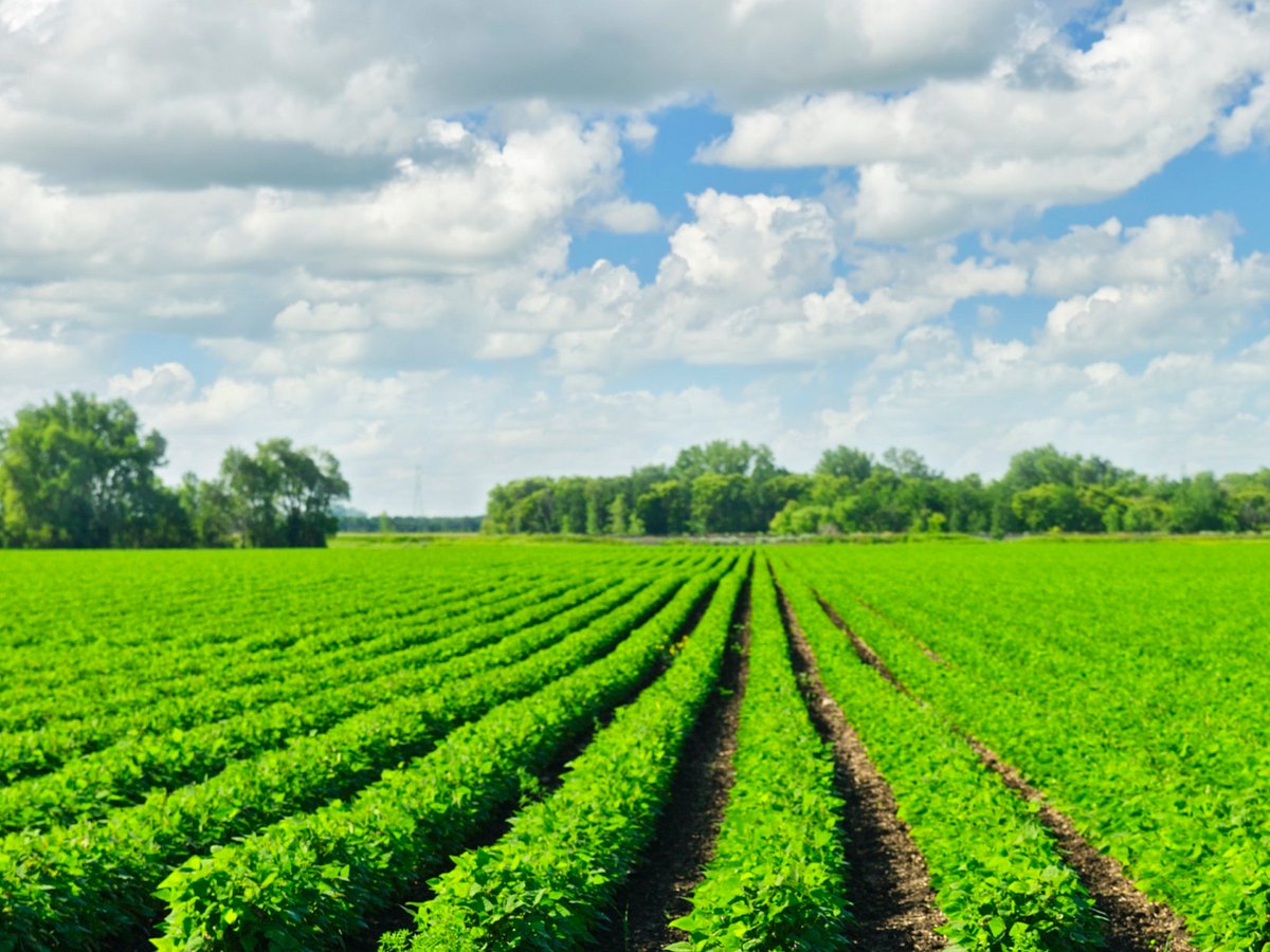 Agricultural roundup