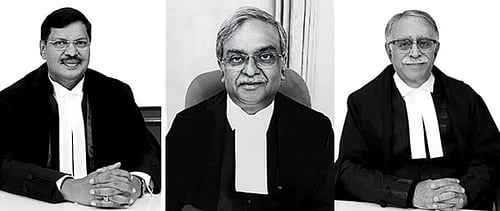 Lion Kings of the Supreme Court: Guardians of the Wild