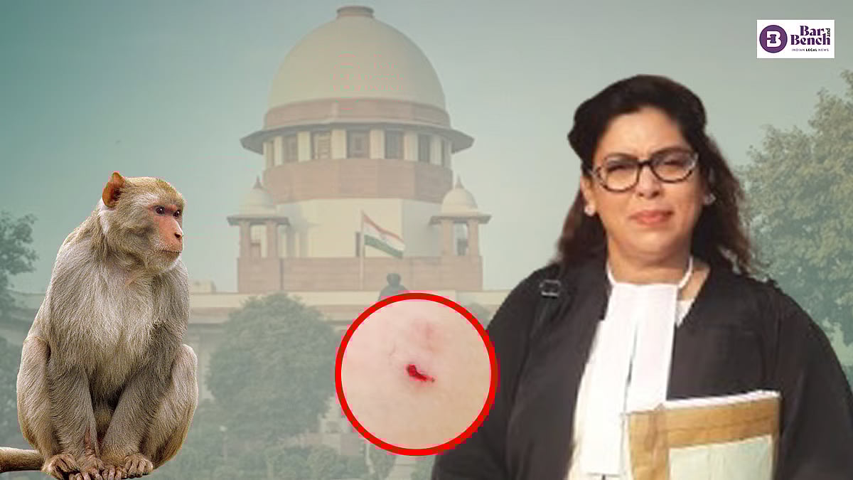 Lawyer attacked by monkeys in Supreme Court; finds no medicines in apex ...