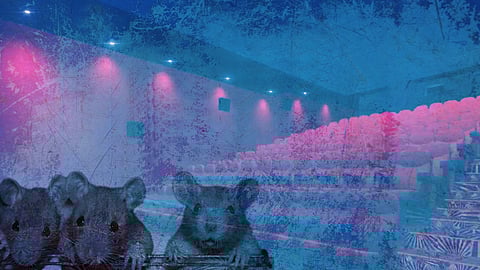 District Consumer Forum orders cinema hall to pay ₹67,000 compensation ...