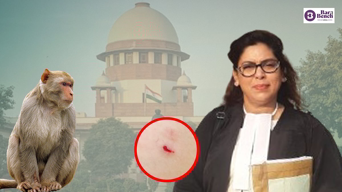Lawyer attacked by monkeys in Supreme Court; finds no medicines in apex ...