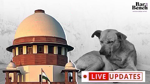 Stray dogs case: Live Updates from Supreme Court