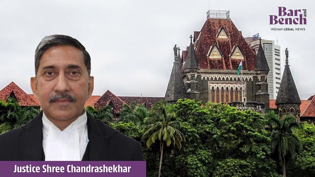 Maharashtra local body elections: How the Bombay High Court holds the key