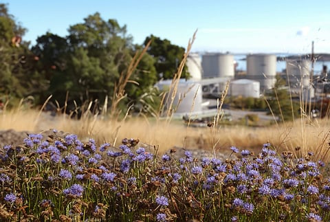 Specialty chemicals company Nynas sees adjusted EBITDA rise 1% in 2024 ...