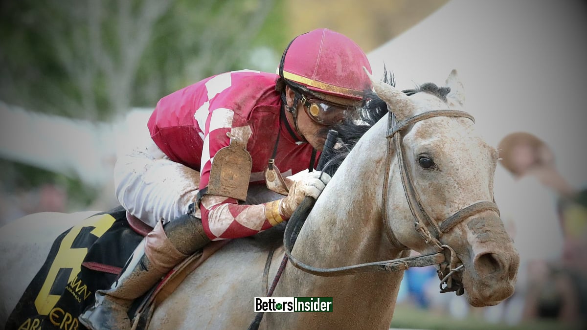 Top 3 Best Bets for the 151st Kentucky Derby 2025