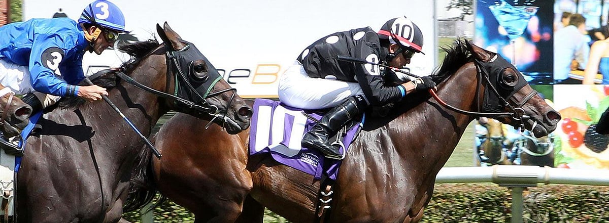 Thoroughbreds: RT picks the early evening races at Mountaineer Park