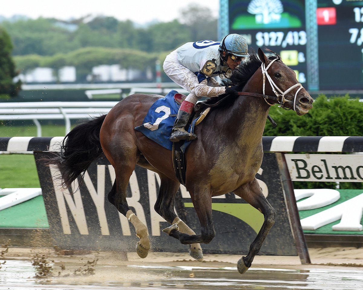Thoroughbreds: Garrity’s Saturday stakes picks are at Aqueduct (The ...