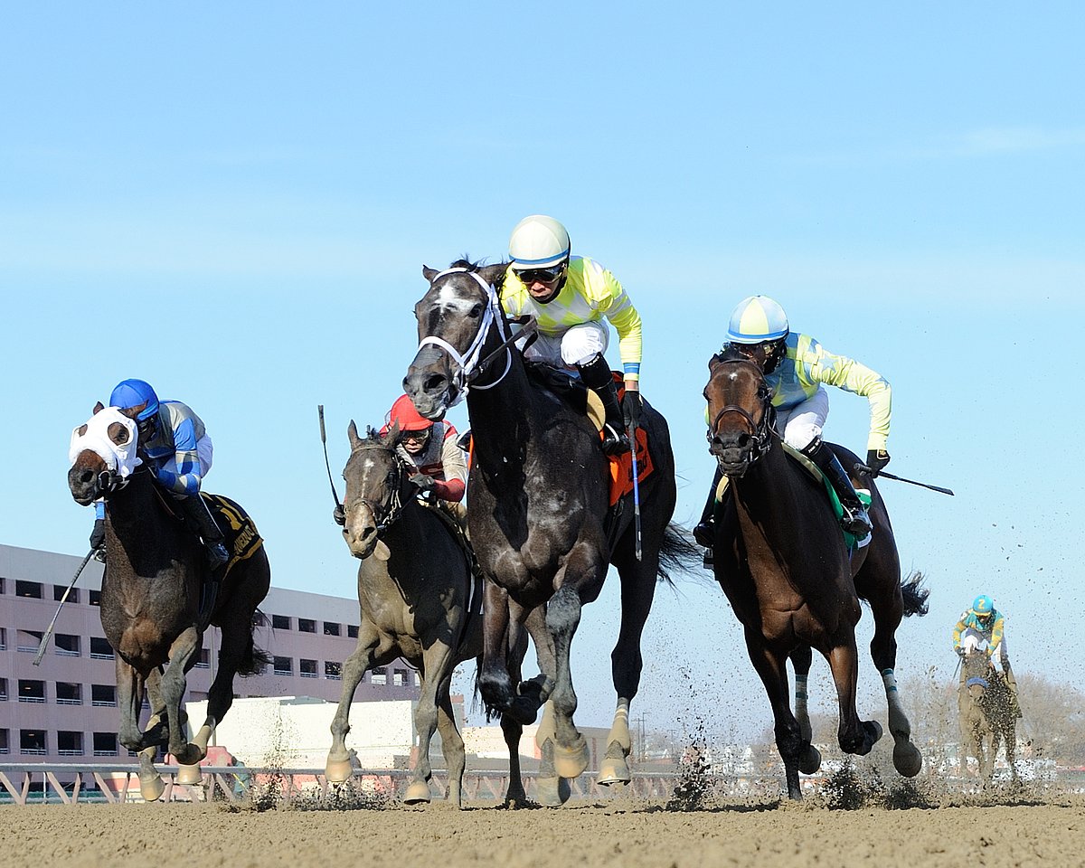 Saturday Stakes Races: Garrity picks from a loaded card at Monmouth and ...
