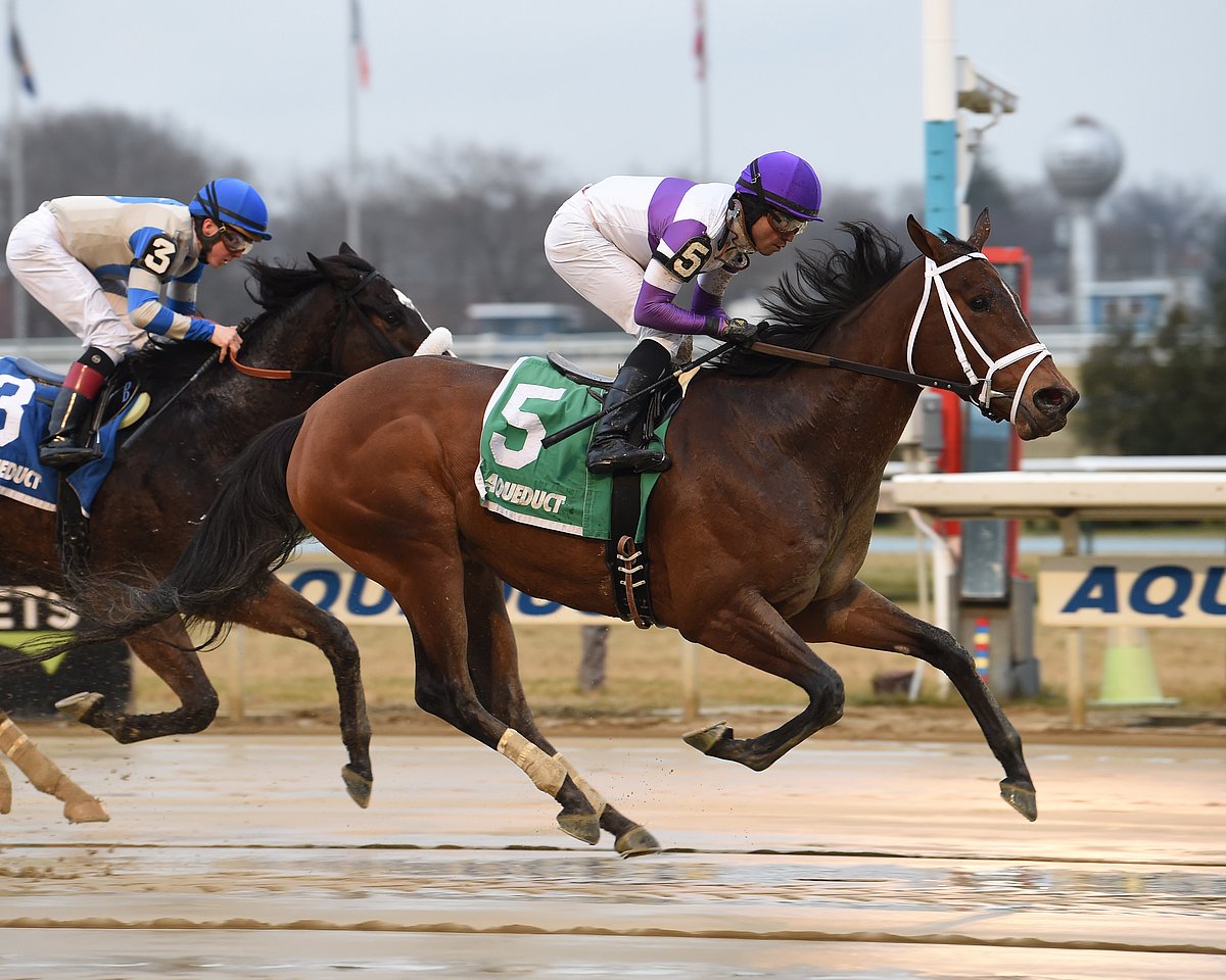 Garrity's Saturday Stakes picks the Risen Star and Rachel Alexandra at ...