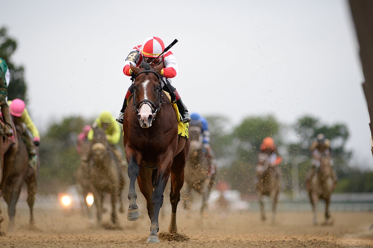 Garrity's Saturday Stakes: The Saranac, Amsterdam, Forego, Sword Dancer ...