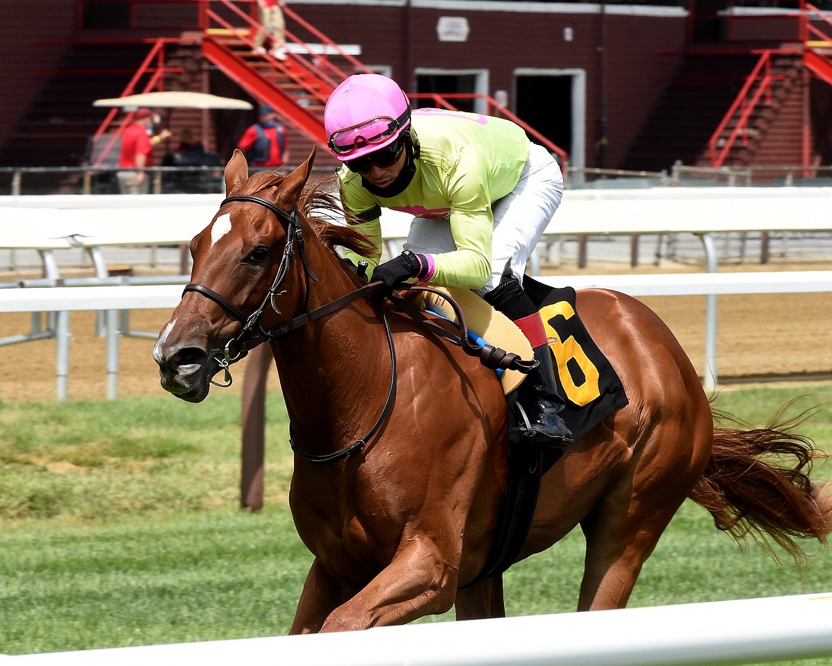 Garrity celebrates the unofficial end of summer with 5 stakes picks at ...