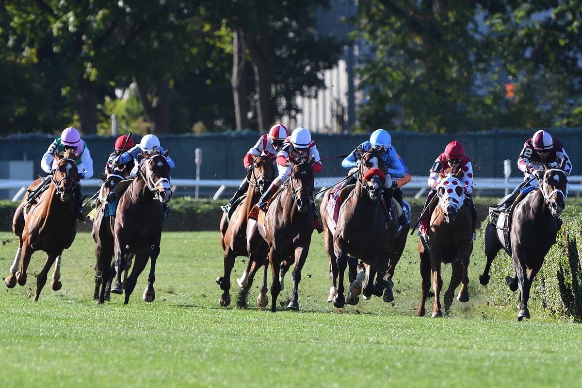 Interesting Facts About Horse Racing You Probably Didn't Know