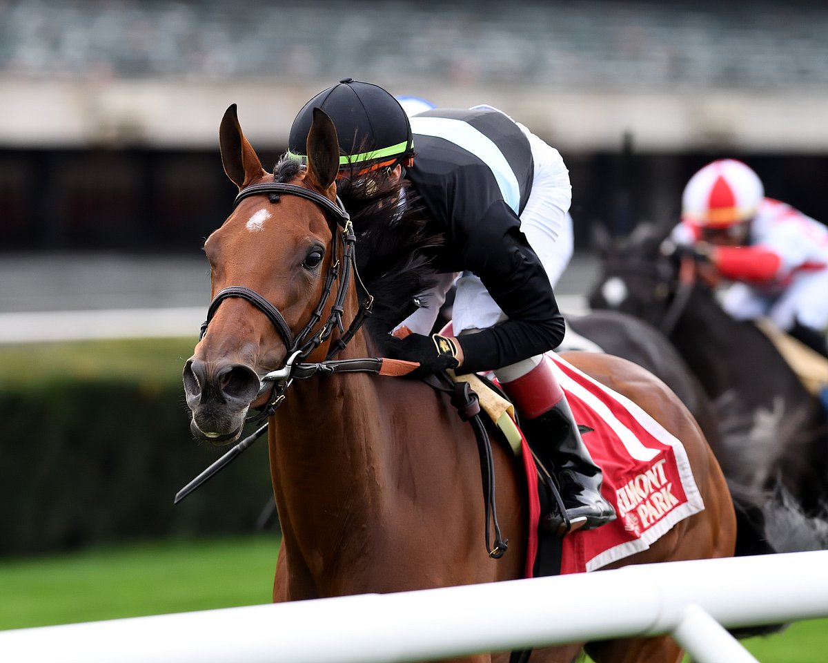 Garrity's Saturday Stakes: An Arkansas Derby upset pick plus other ...