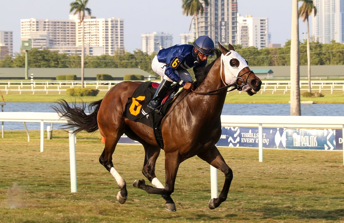 God's Tipster's Wednesday Gulfstream Park Pick: The 7th is tough turf ...