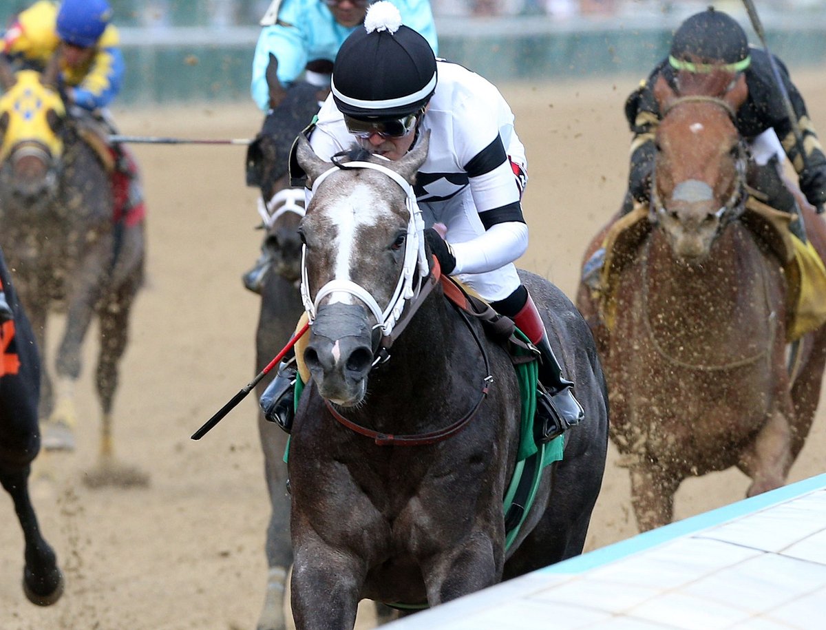 Maiden America Sunday: Hoop Tea's Hooptie Handicapper picks 2yos at ...