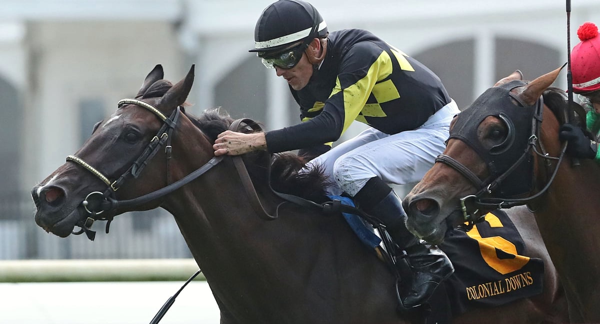 Maiden America Wednesday: Hoop Tea's Hooptie Handicapper picks 2yo ...