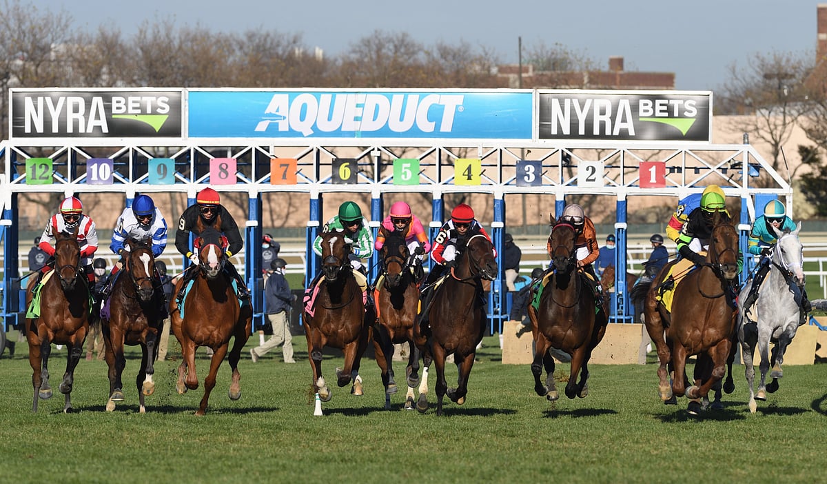 God's Tipster's Friday Belmont at Aqueduct Pick: The 6th, a turf route ...