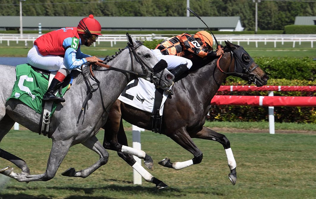 God's Tipster's Wednesday Gulfstream Park Pick: The 8th is a turf route ...