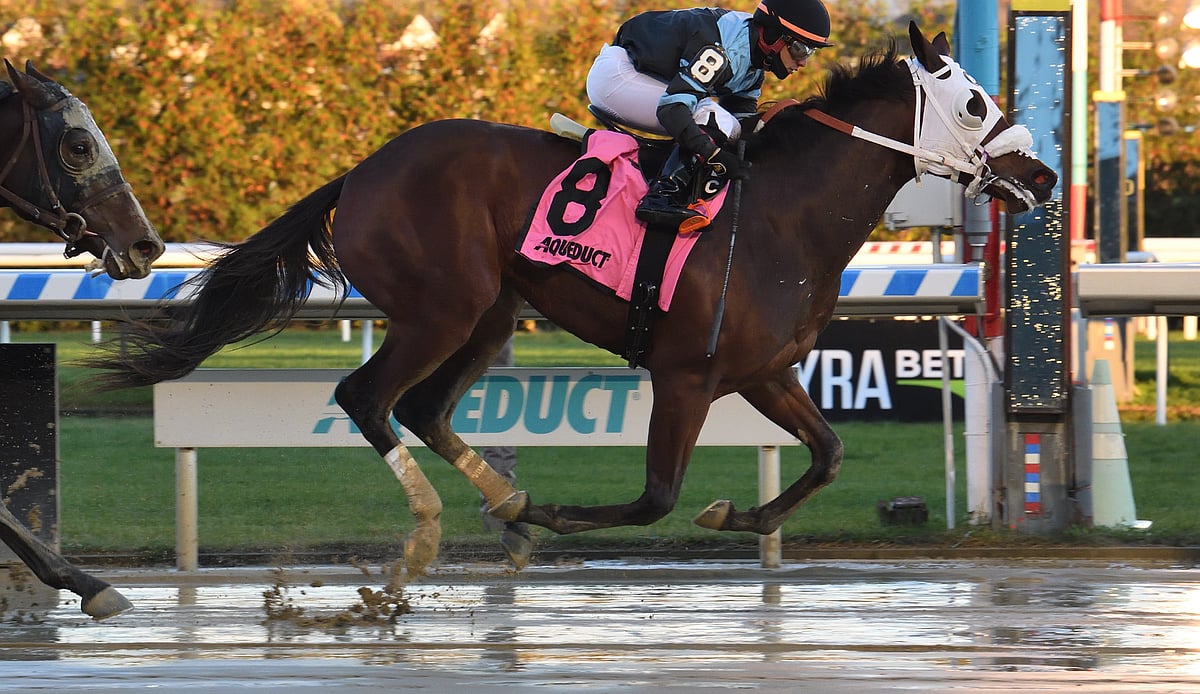 Garrity's Sunday Stakes picks the Rego Park at Aqueduct and the Clocker ...