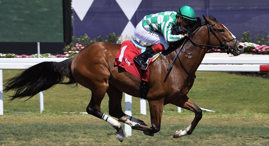 God's Tipster's Sunday Gulfstream Park Picks: The 10th is a maiden turf ...