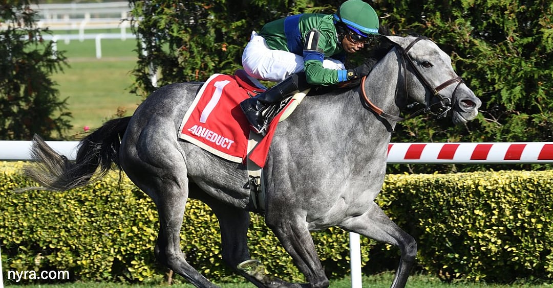 God's Tipster's Sunday Aqueduct Pick: In 8th, the turf mile Artie ...