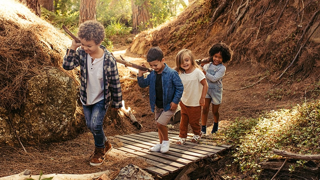 The real lord of the flies: A story of survival and solidarity