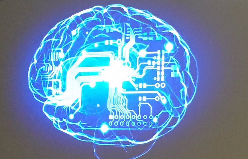Birdsong breakthrough: Cracking codes for human speech