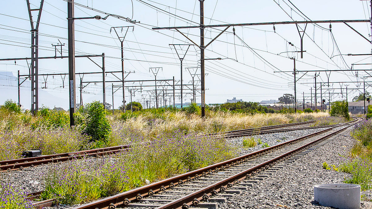 Criminality on SA rail lines jeopardize World Bank-funded project