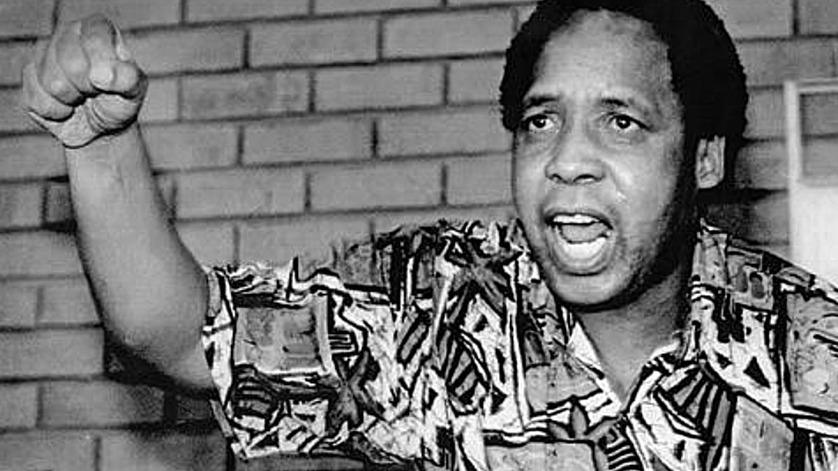 From the archives - RW Johnson: The New South Africa’s original sin ...