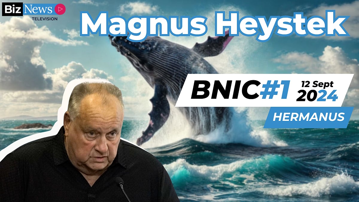 BNIC#1 Magnus Heystek: Foreign investment in SA and undiscovered ...
