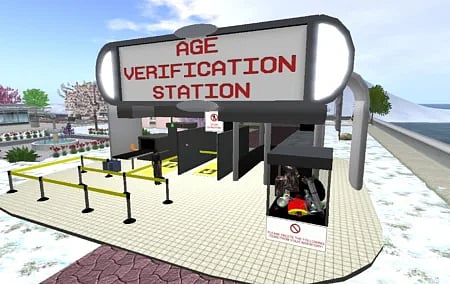 Age-gating the internet: Protecting kids or invading privacy? - Vegter