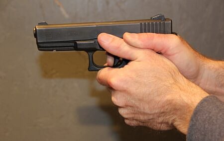 Proposed gun reforms put citizens and security at risk: Gideon Joubert
