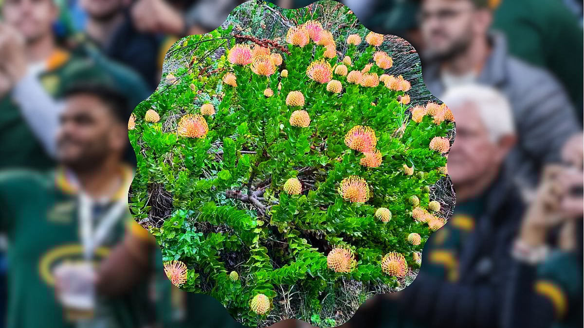 Boardroom Talk - First ever 'Flower Safari' opens eyes to new world