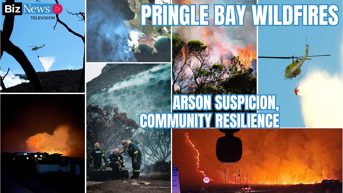 Pringle Bay wildfires: Arson suspicions, resilience mirrors fynbos