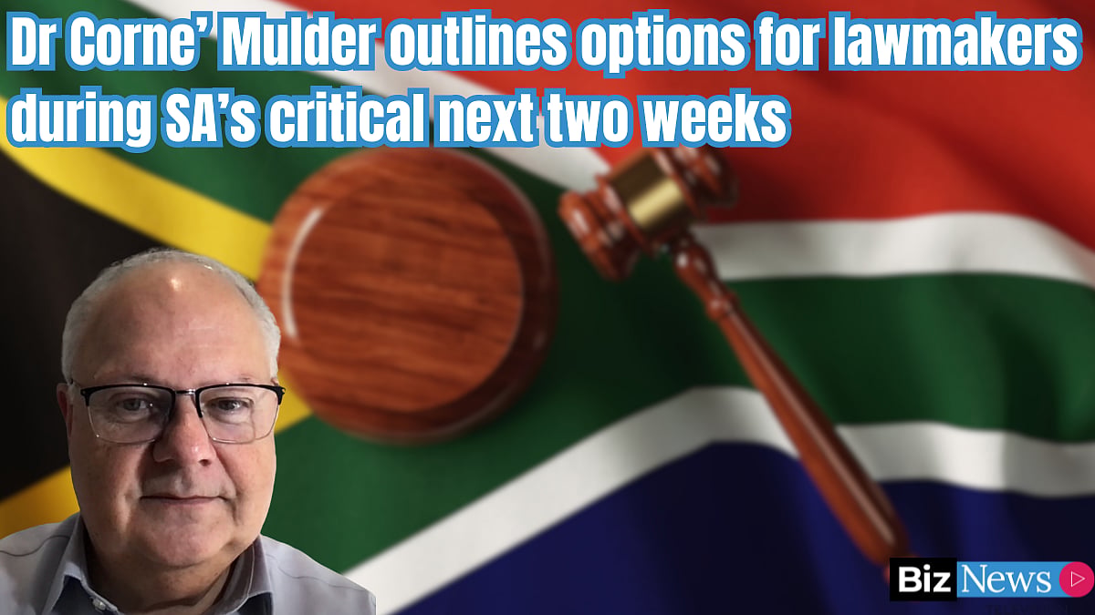 Dr Corne’ Mulder outlines options for lawmakers during SA’s critical ...