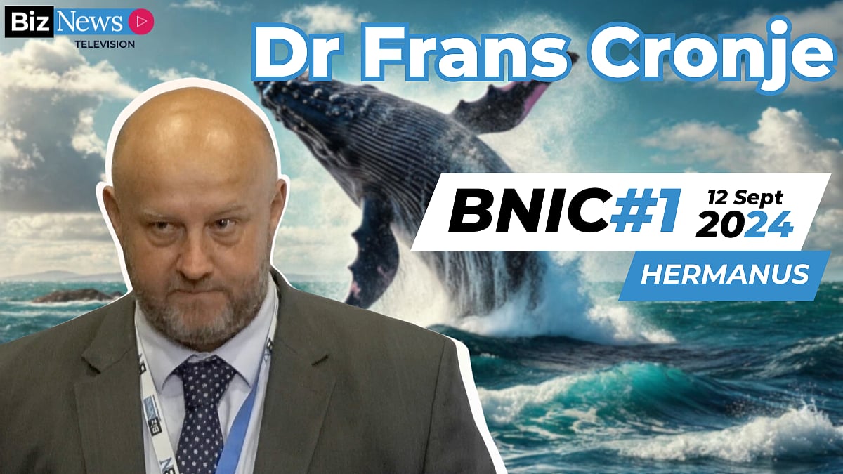 BNIC#1 Cronje: SA's path forward - GNU strengths, risks, future